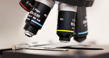 Medical Labware & Diagnostic Supply Materials | Avient